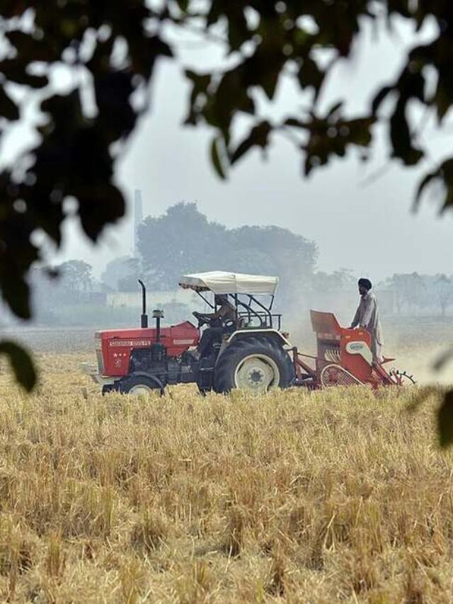 Surface Ozone Pollution Is Cutting India’s Wheat and Rice Yields ...