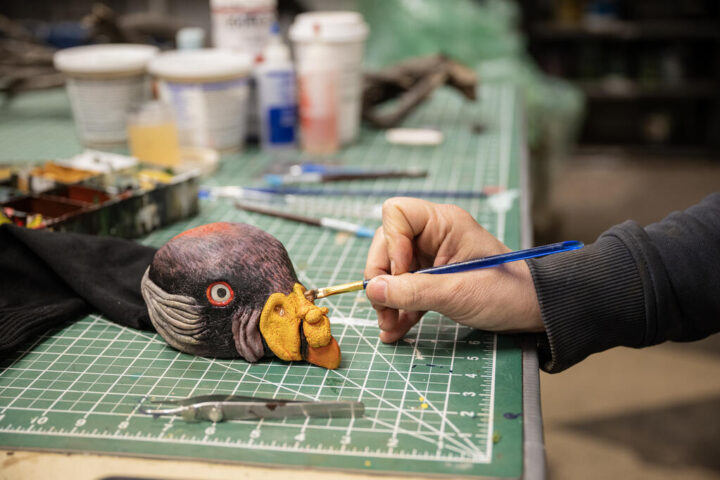 King Vulture Puppet‑Rearing: Bronx Zoo Revives 40‑Year‑Old Conservation ...