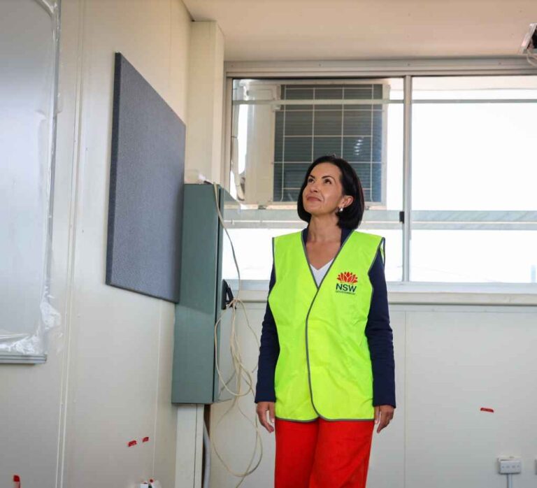 NSW Deputy Premier Prue Car Diagnosed with Breast Cancer After Previous ...