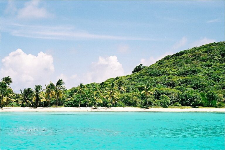 U.S. Lowers Jamaica Travel Advisory to Level 2 Following 2024 Crime ...
