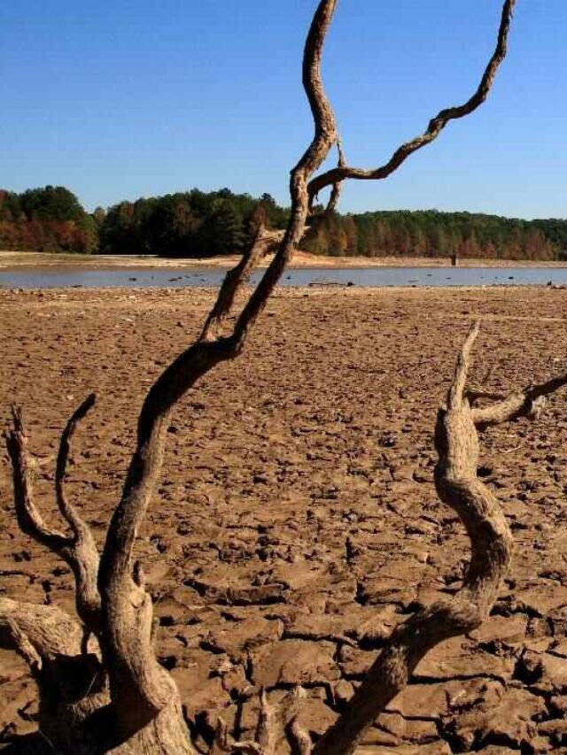 Air's Growing Thirst Makes Droughts 40% Worse Despite Rain - Karmactive